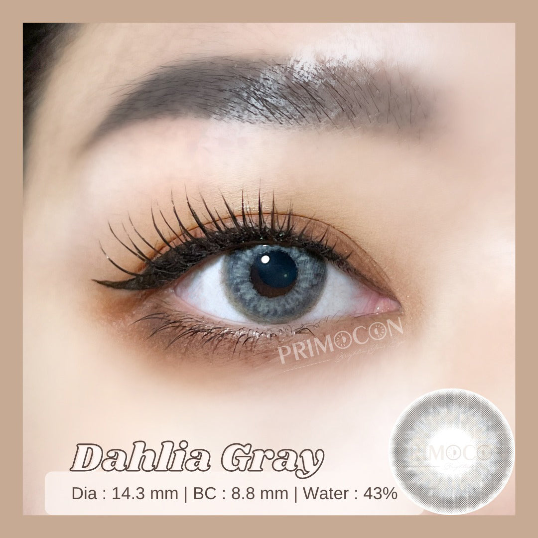 Dahlia Gray | Primocon