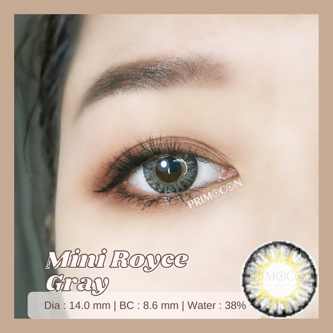 Mini Royce Gray | Primocon