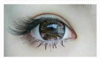 Autumn Pink | Primocon