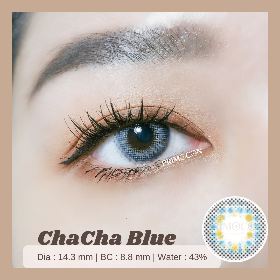 ChaCha Blue | Primocon