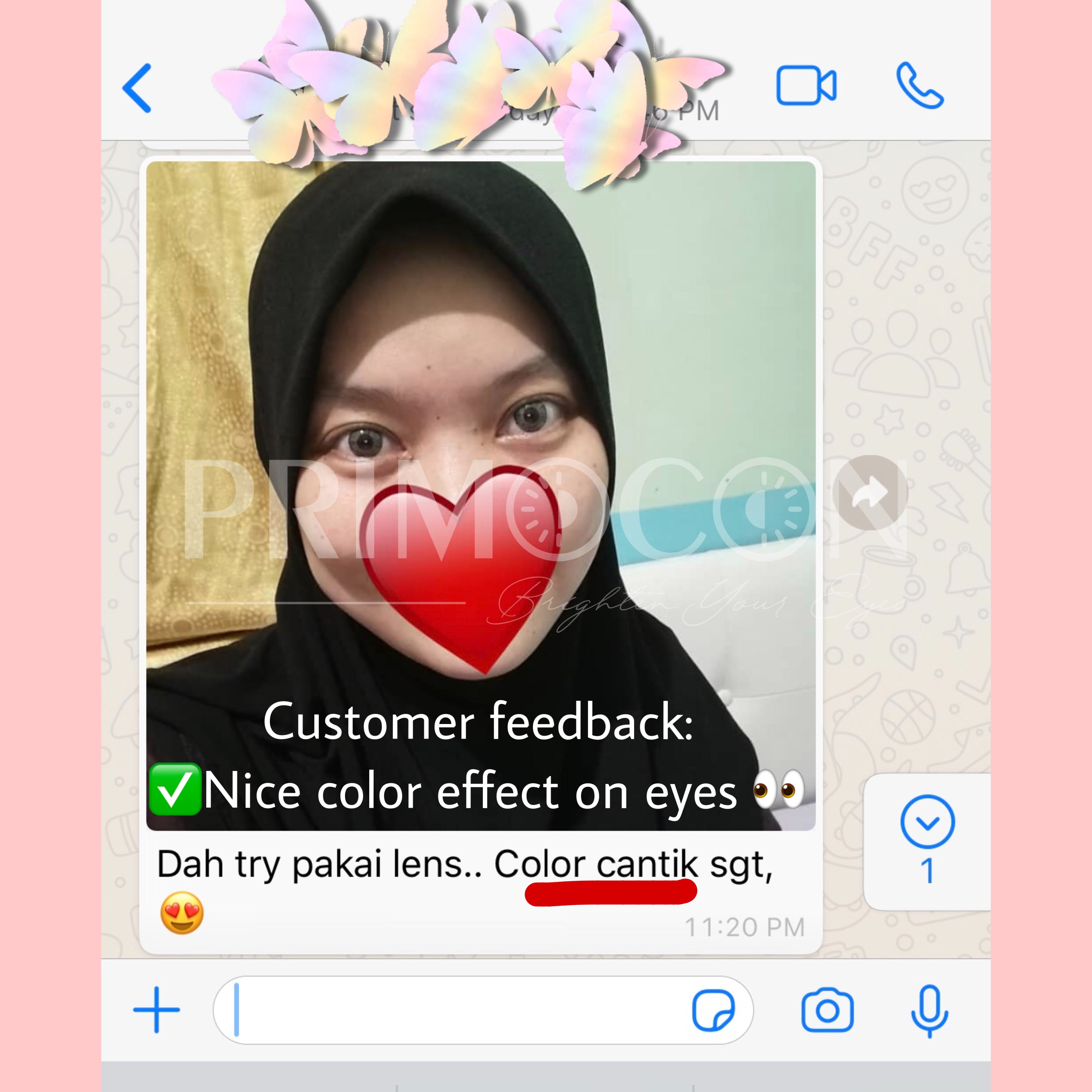 Mini Royce Gray | Primocon