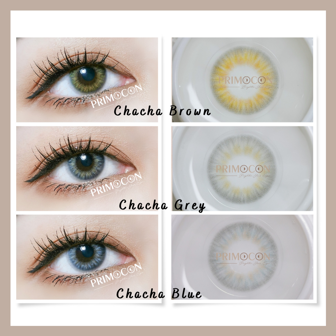 ChaCha Blue | Primocon